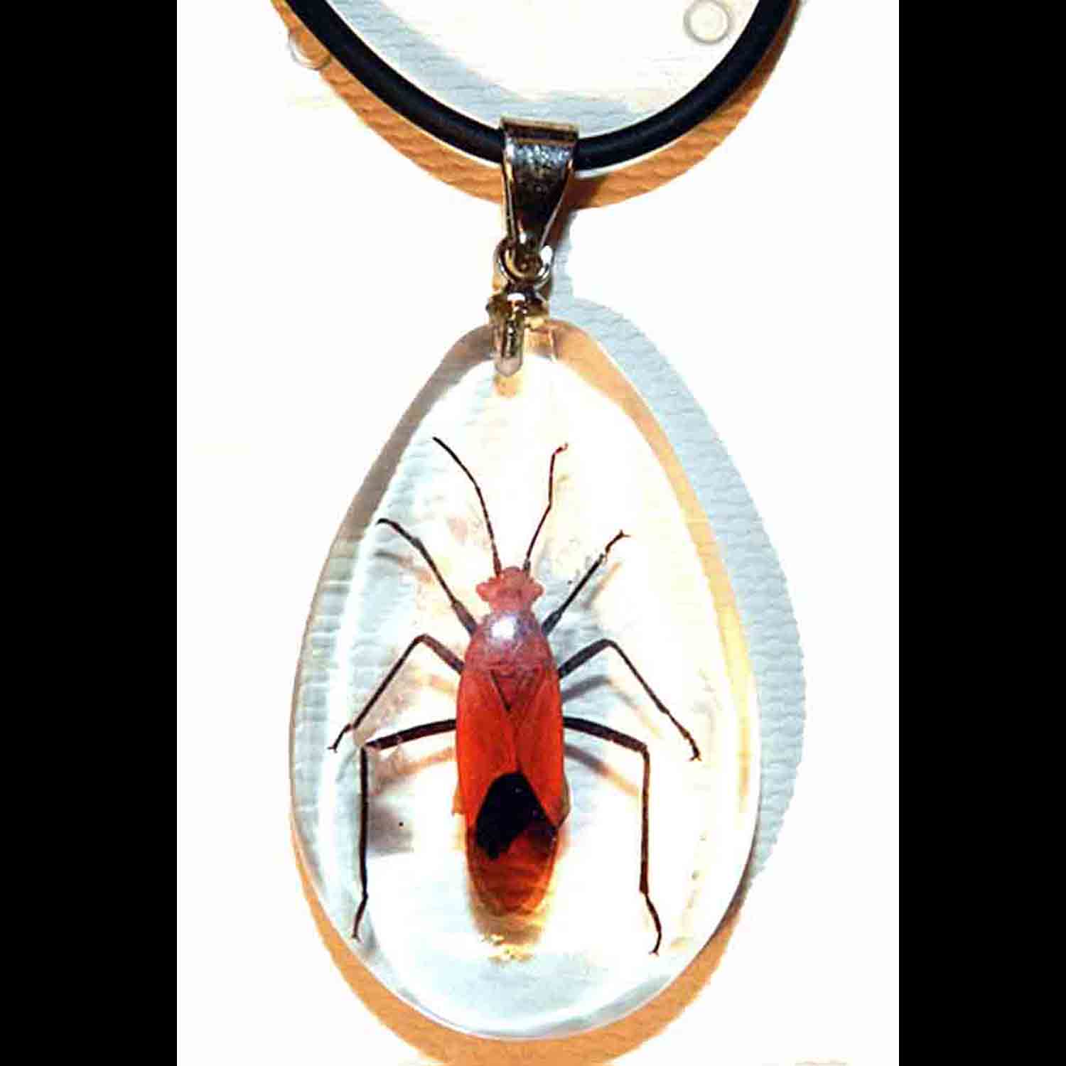 L Arca di Noe Necklace Resin Pendant Tropical Insect Hemipter Red Bug Z12999